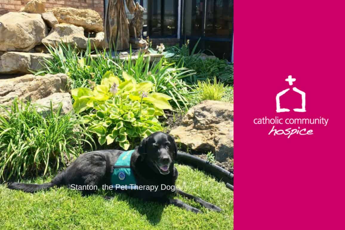 Pet Therapy with Catholic Community Hospice - Catholic Charities of ...