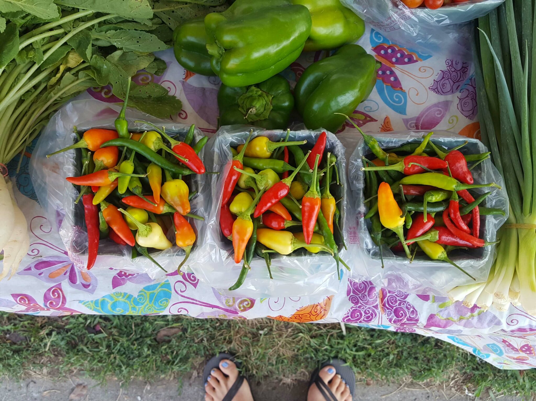 Hot Peppers - Catholic Charities of Northeast Kansas